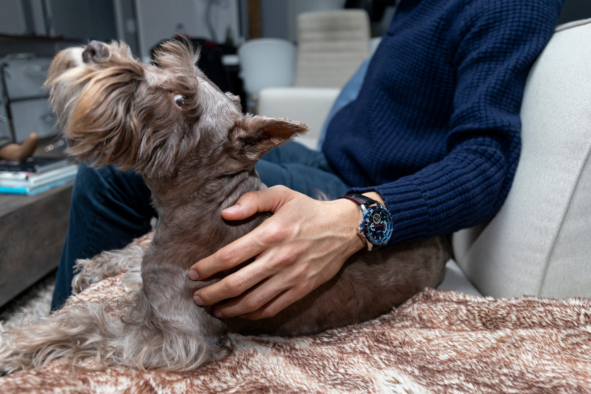 Chelsea Madison New York | Get the whole world on your hands!